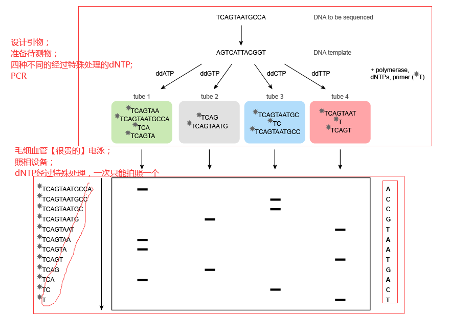 Omics精进01|临床WGS/WES/Gene Panel/Single gene异同_qq_21478261的博客-CSDN博客