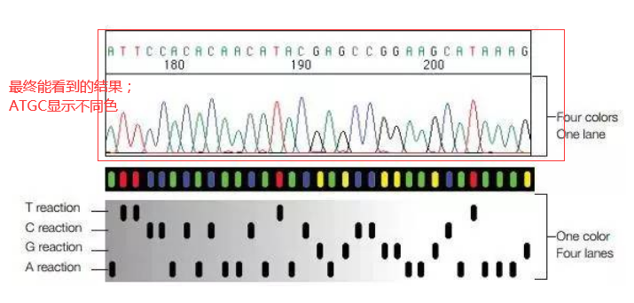 Omics精进01|临床WGS/WES/Gene Panel/Single gene异同_qq_21478261的博客-CSDN博客