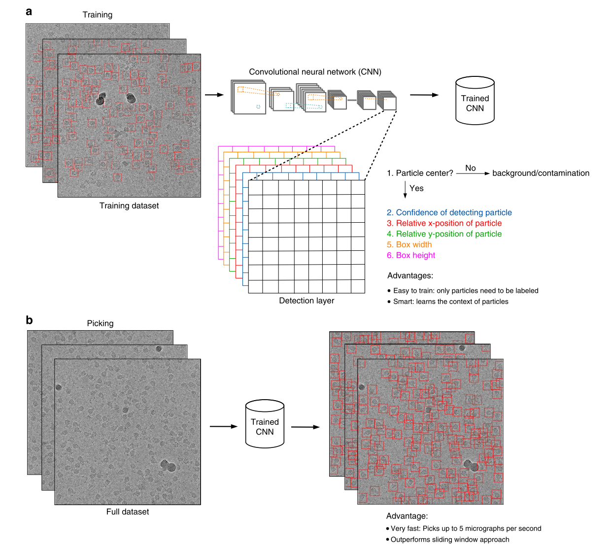 【论文阅读】crYOLO：快速准确的全自动颗粒挑选方法-CSDN博客