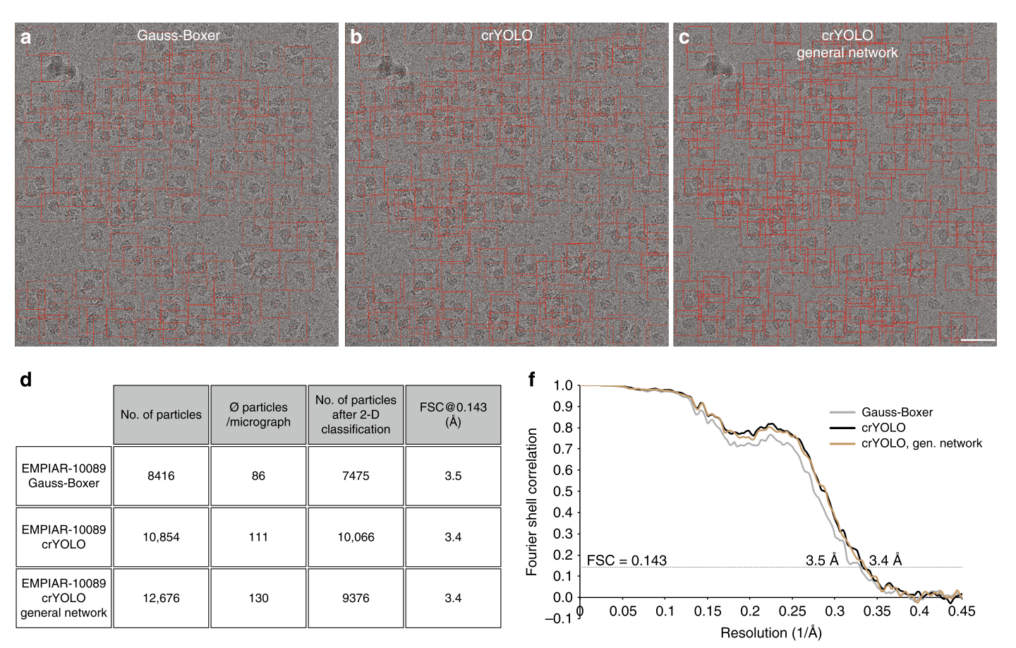 【论文阅读】crYOLO：快速准确的全自动颗粒挑选方法-CSDN博客
