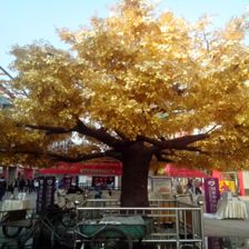 【java.sql.SQLDataException】：Unsupported conversion from LONG to java.sql.Timestamp_layman .的博客 ...