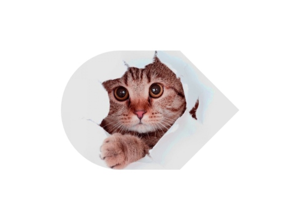 Android Material 常用组件详解（五）—— MaterialButton、MaterialButtonToggleGroup、ShapeableImageView 使用详解 ...