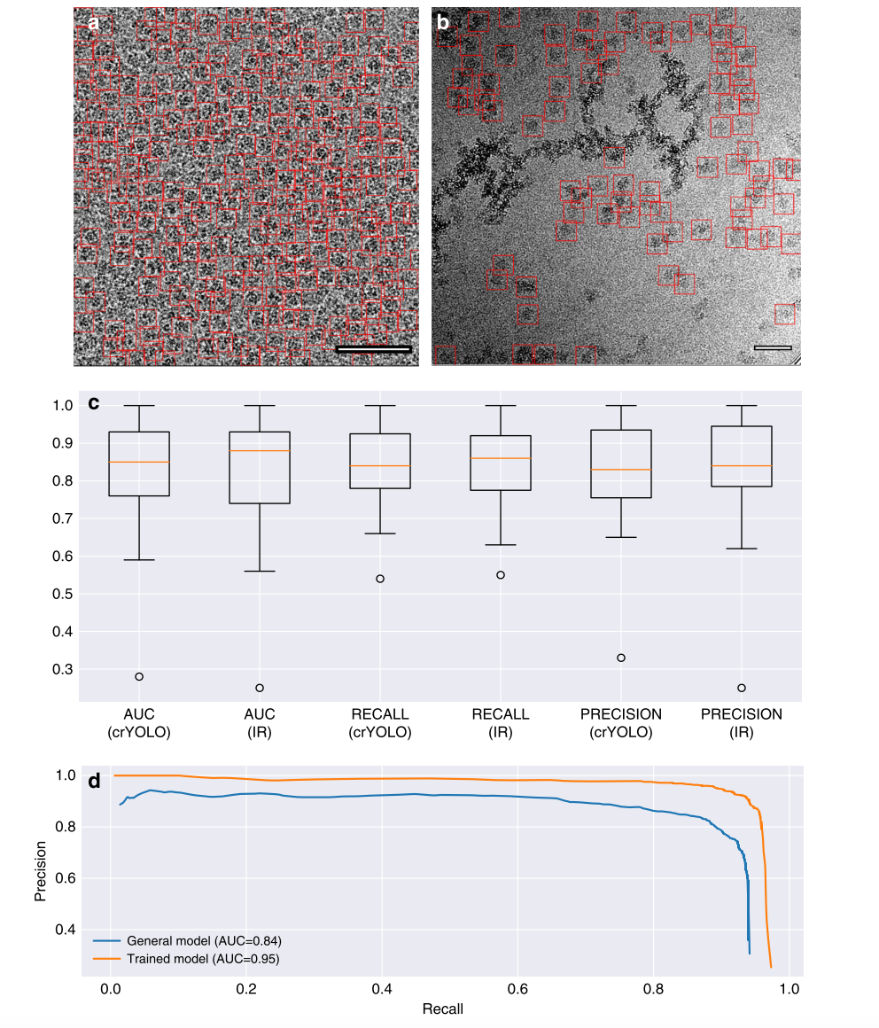 【论文阅读】crYOLO：快速准确的全自动颗粒挑选方法-CSDN博客
