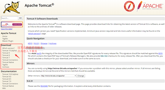 JDK11+Tomcat10 下载安装+环境配置_jdk11 tomcat 下载-CSDN博客