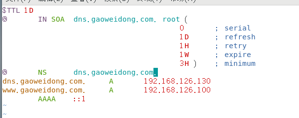 Linux CentOS7 搭建主辅DNS服务(最详细!!!)_centos搭建dns主辅同步-CSDN博客