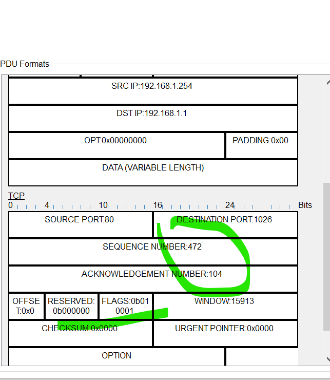 UDP packet observation - Programmer Sought