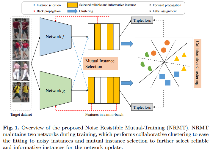 2020 Domain Adaptation 最新论文：插图速览（一）_raw visual input-CSDN博客
