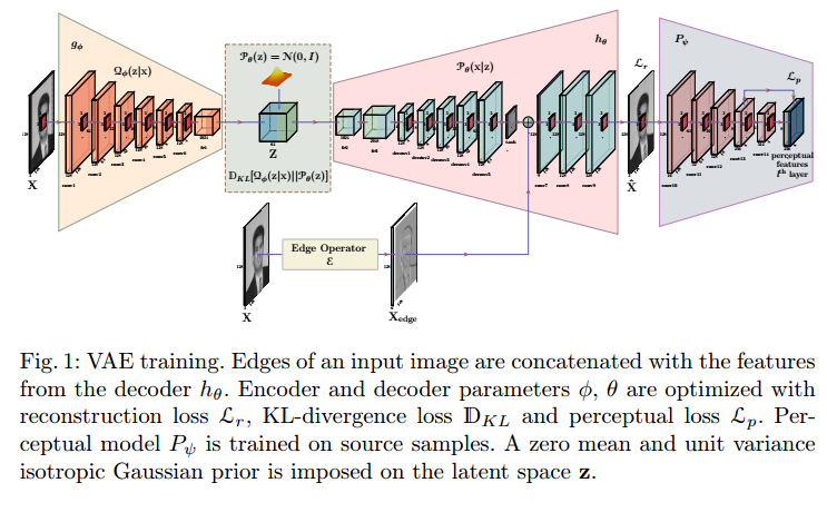 2020 Domain Adaptation 最新论文：插图速览（一）_raw visual input-CSDN博客