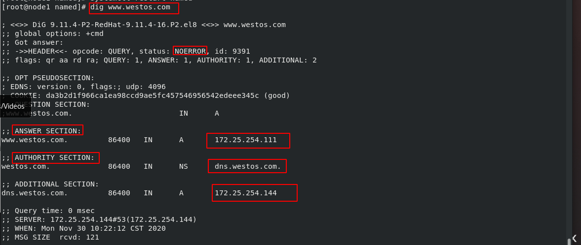 DNS服务器的部署_部署本地界面版dns服务-CSDN博客