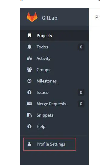 How To Integrate Gitlab In Intellij Idea Programmer Sought