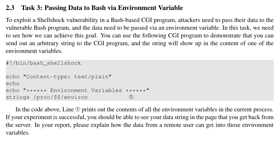 软件安全实验-SEEDubuntu-Shellshock Attack Lab_ubuntu.seed-CSDN博客