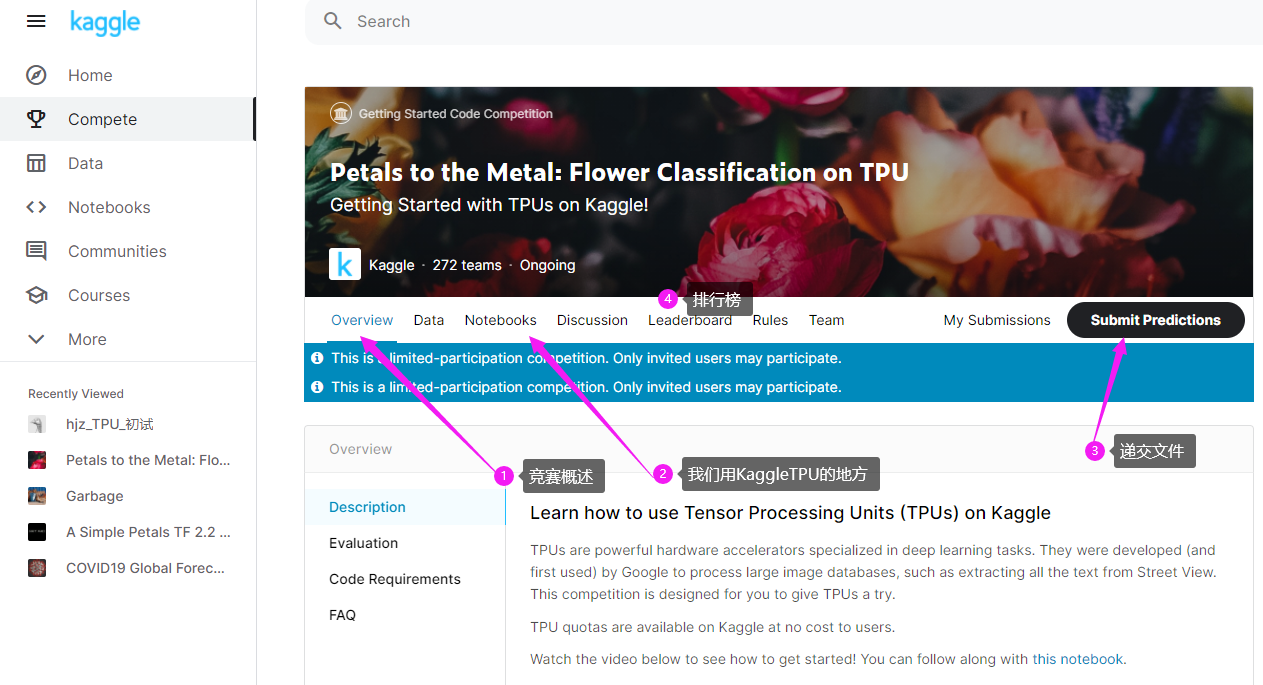 如何使用kaggle免费30个小时的TPU_kaggle上怎么对pytorch怎么查看tpu-CSDN博客