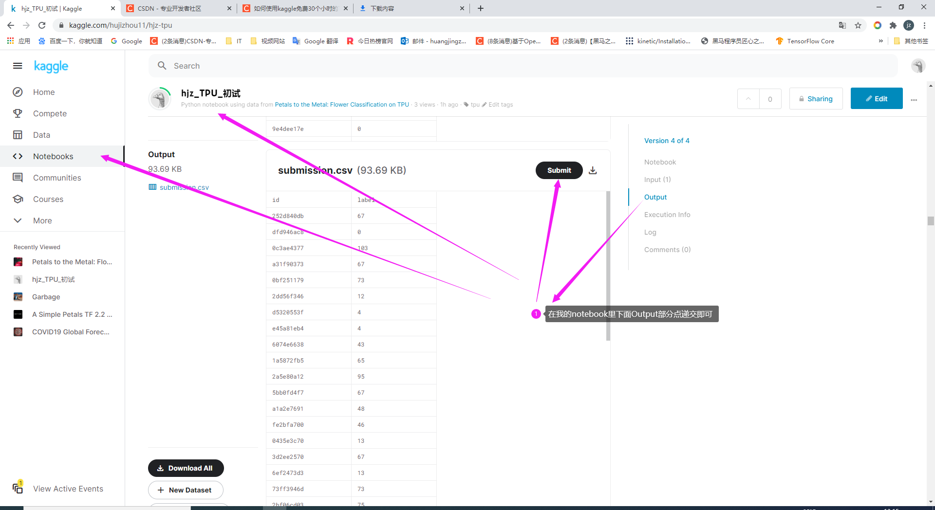 如何使用kaggle免费30个小时的TPU_kaggle上怎么对pytorch怎么查看tpu-CSDN博客