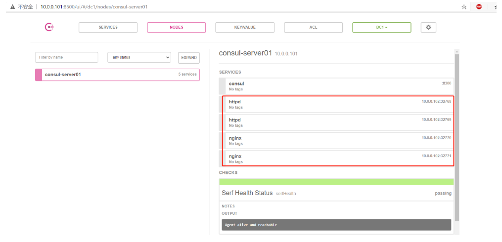 docker + consul + nginx集成分布式架构_docker部署nginx支持consul-CSDN博客