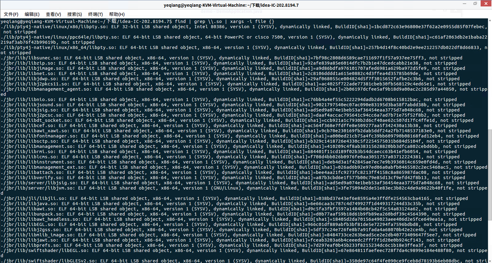 银河麒麟桌面操作系统V10上安装IDEA集成开发环境并导入SpringBoot项目_idea 麒麟_中国信创服务社区的博客-CSDN博客