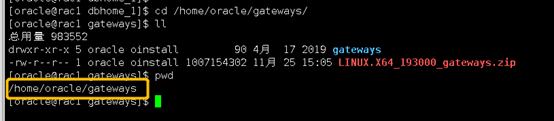 Linux下Oracle19C RAC通过Gateways（透明网关）连接Sql server数据库_oracle 19c gateway-CSDN博客
