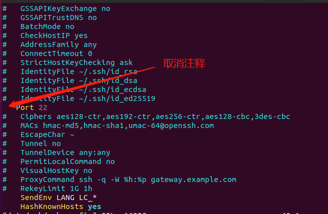 MobaXterm远程登录VirtualBox中的Linux常见问题_virtual box mobaxterm连接不上linux-CSDN博客