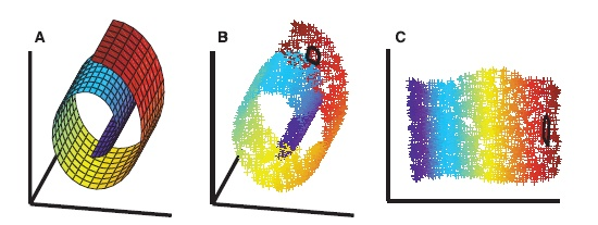 图嵌入（拉普拉斯特征映射Laplacian Eigenmaps）-CSDN博客