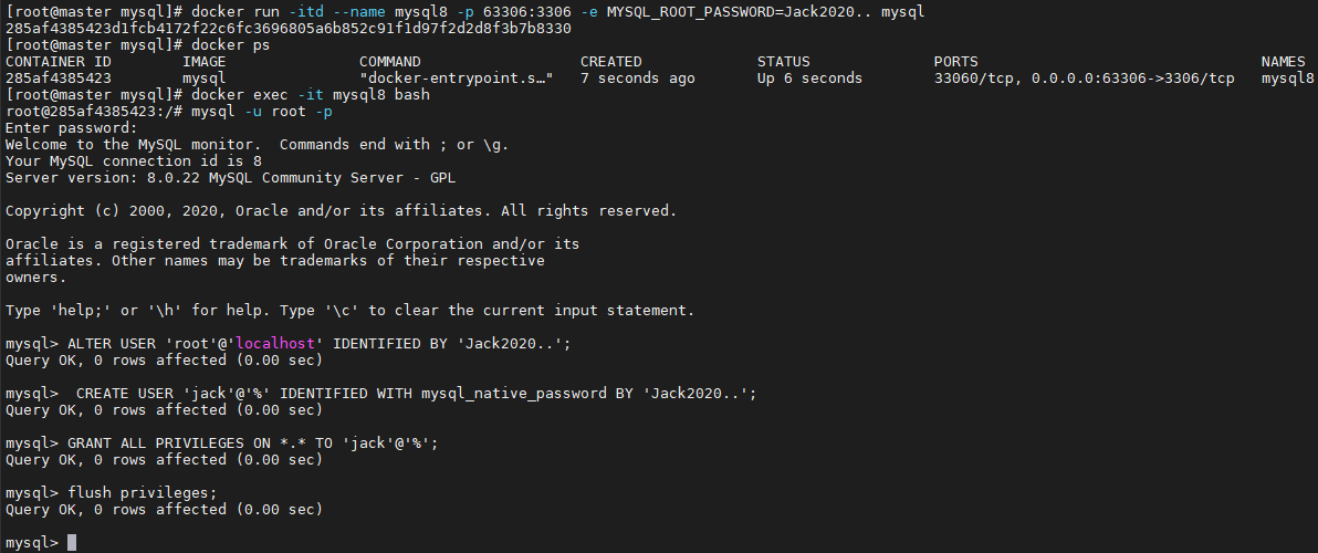 Docker 安装 MySQL8.0_protocol mismatch; server version = 11, client ver-CSDN博客
