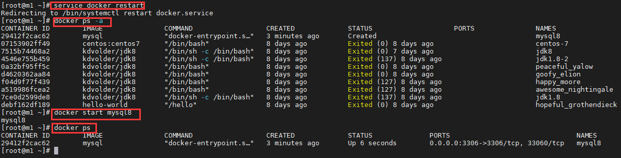 Docker 安装 MySQL8.0_protocol mismatch; server version = 11, client ver-CSDN博客