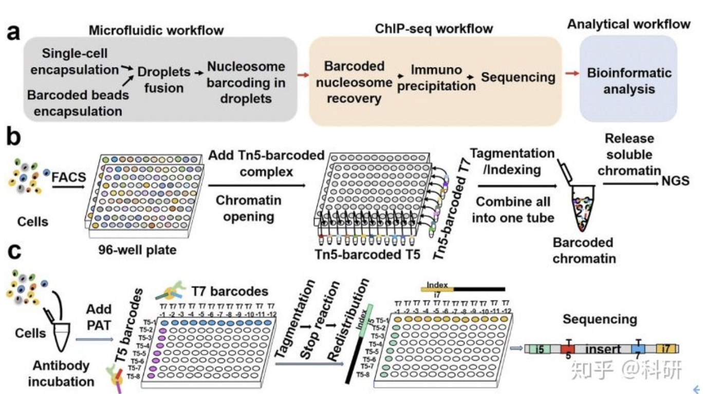 染色质调控区域的研究：对CHIP-seq和ATAC-seq发展的深入思考_atac-seq chip seq rna seq-CSDN博客
