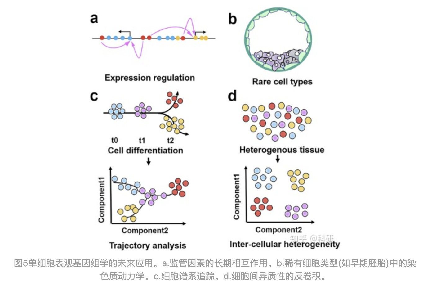 染色质调控区域的研究：对CHIP-seq和ATAC-seq发展的深入思考_atac-seq chip seq rna seq-CSDN博客