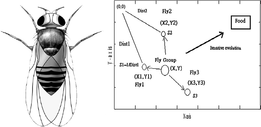 Fruit Fly Optimization Algorithm, Foa) -Matlab Source Code - Programmer Sought