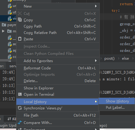 pycharm 查看文件修改历史 | 撤回修改历史的版本_pycharm怎么看撤回的操作-CSDN博客