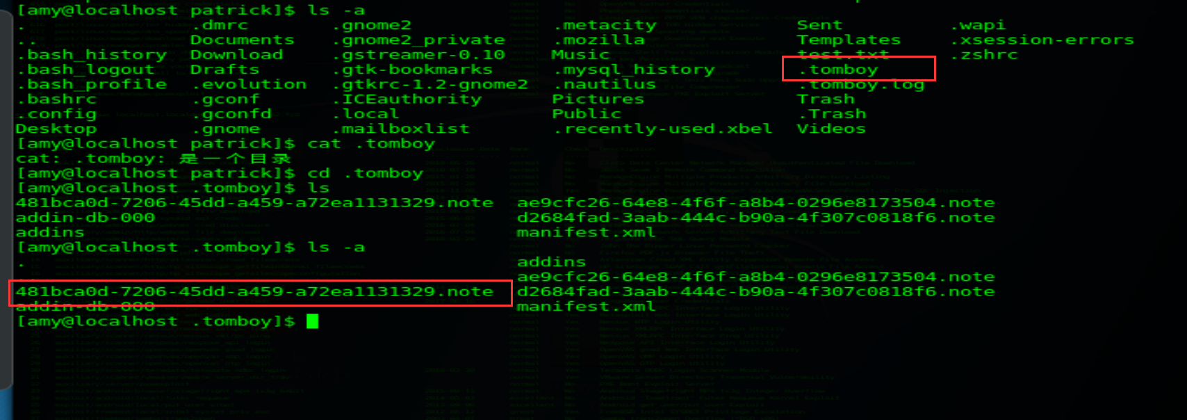 Hack the LAMPSecurity: CTF 5 (CTF Challenge)-CSDN博客