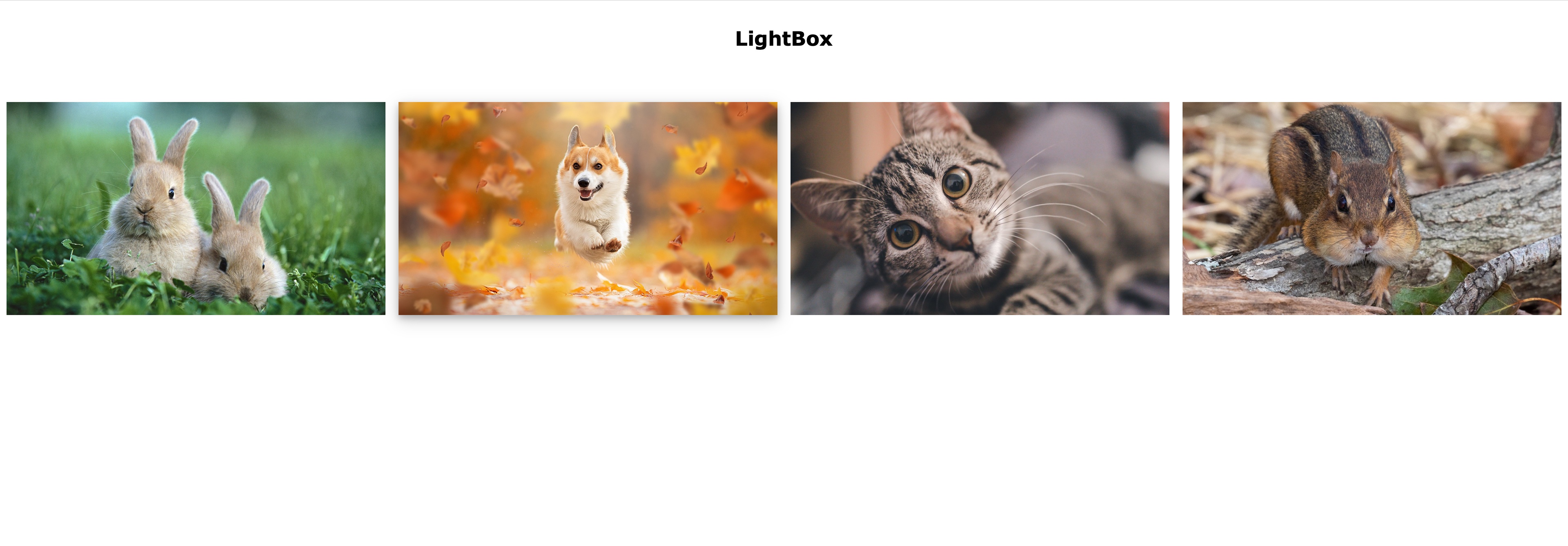 JS特效三：LightBox（轮播图+图片弹窗）_lightbox.js-CSDN博客