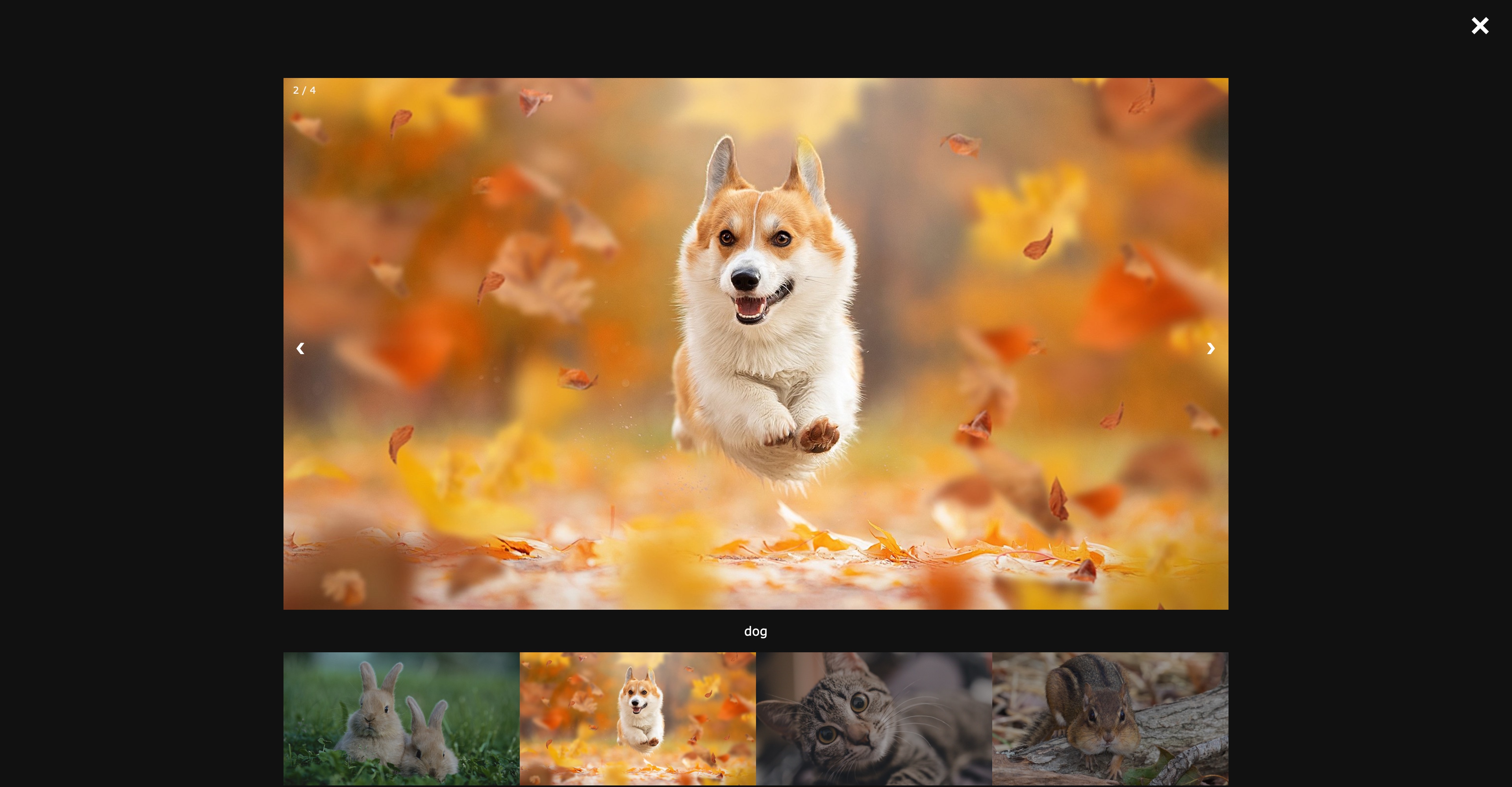 JS特效三：LightBox（轮播图+图片弹窗）_lightbox.js-CSDN博客