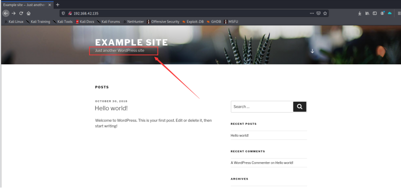 网络渗透测试实验四-CTF实践（WebDeveloper靶机渗透）_ctf怎么打开靶机-CSDN博客