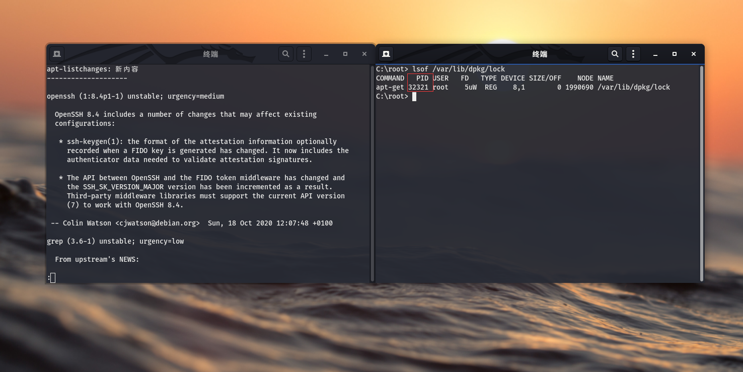 Linux 报错：Could not get lock /var/lib/dpkg/lock 该如何解决呢？_linux中could not get lock怎么解决-CSDN博客