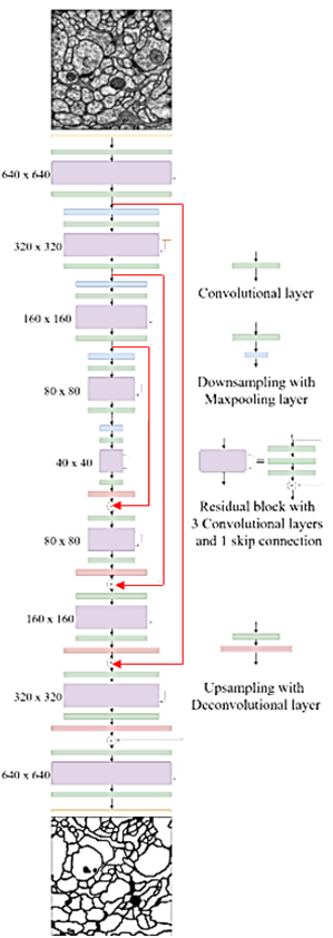 FusionNet:A deep fully residual convolutional neural network for image segmentation in ...