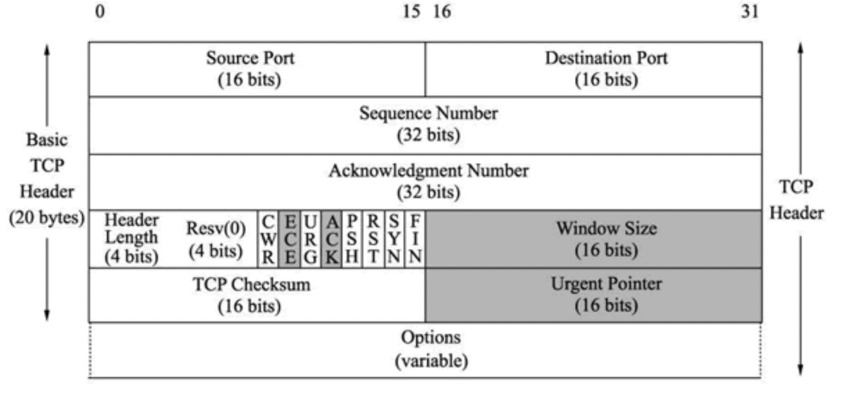 Wireshark抓包解释说明_wireshark sequence number-CSDN博客