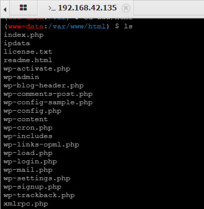 网络渗透测试实验四-CTF实践（WebDeveloper靶机渗透）_ctf怎么打开靶机-CSDN博客