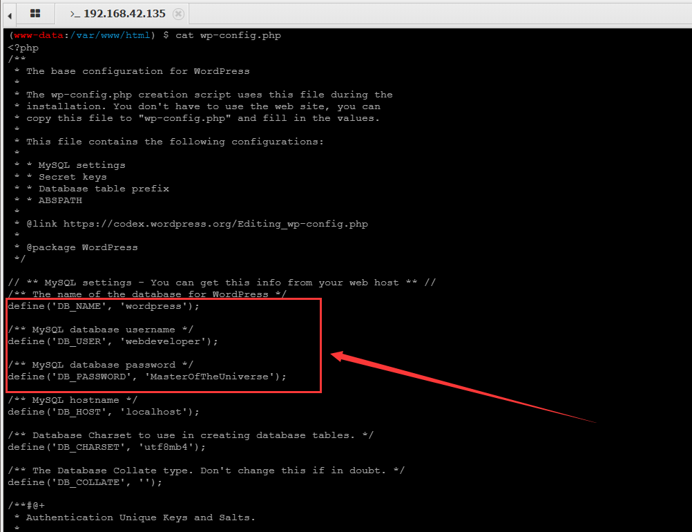 网络渗透测试实验四-CTF实践（WebDeveloper靶机渗透）_ctf怎么打开靶机-CSDN博客