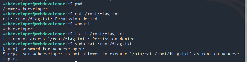 网络渗透测试实验四-CTF实践（WebDeveloper靶机渗透）_ctf怎么打开靶机-CSDN博客