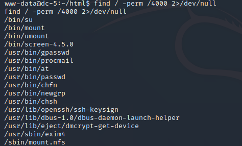 DC系列漏洞靶场-渗透测试学习复现（DC-5）_kali dirscan-CSDN博客