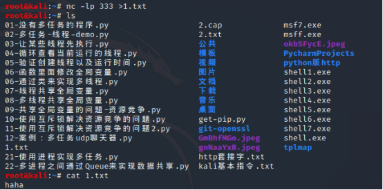 内网传输层隧道的Netcat使用演示_netcat建立udp隧道-CSDN博客