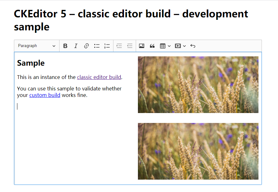Ckedit5 + Base64图片上传_ckeditor5 图片base64 image-CSDN博客