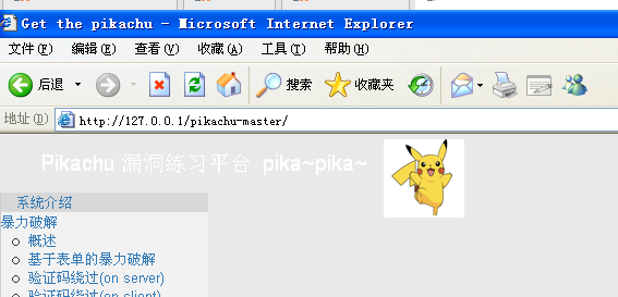 Pikachu靶场环境的搭建（小白练手入门）_皮卡丘靶场搭建-CSDN博客