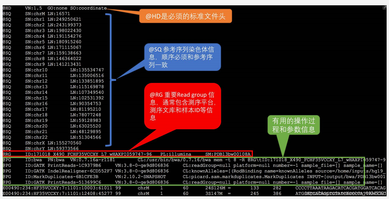 SAM/BAM相关的进阶知识_比对后的序列为什么进行排序picard-CSDN博客