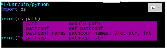 Vim Install Python Artifact JEDI Plugin - Programmer Sought