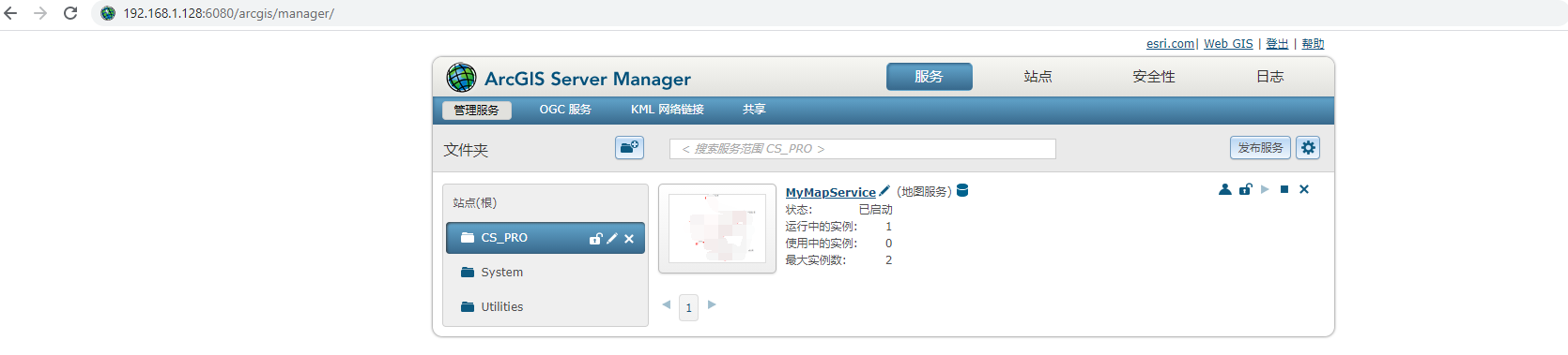 docker容器与arcserver发布服务_docker arcgis server-CSDN博客