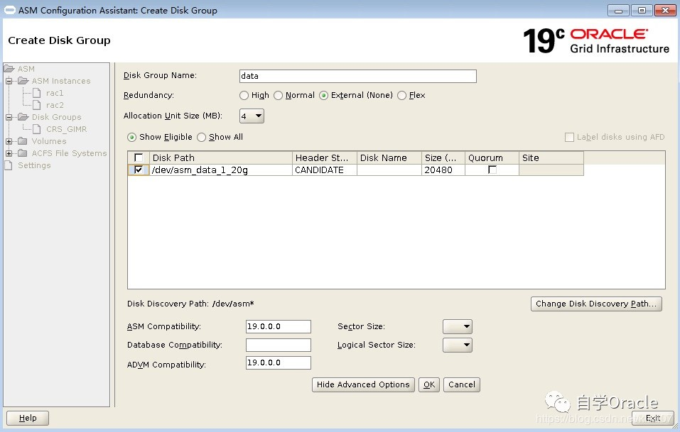 Oracle Linux 7.6 +19c_RAC 安装文档_v982068-01.zip-CSDN博客
