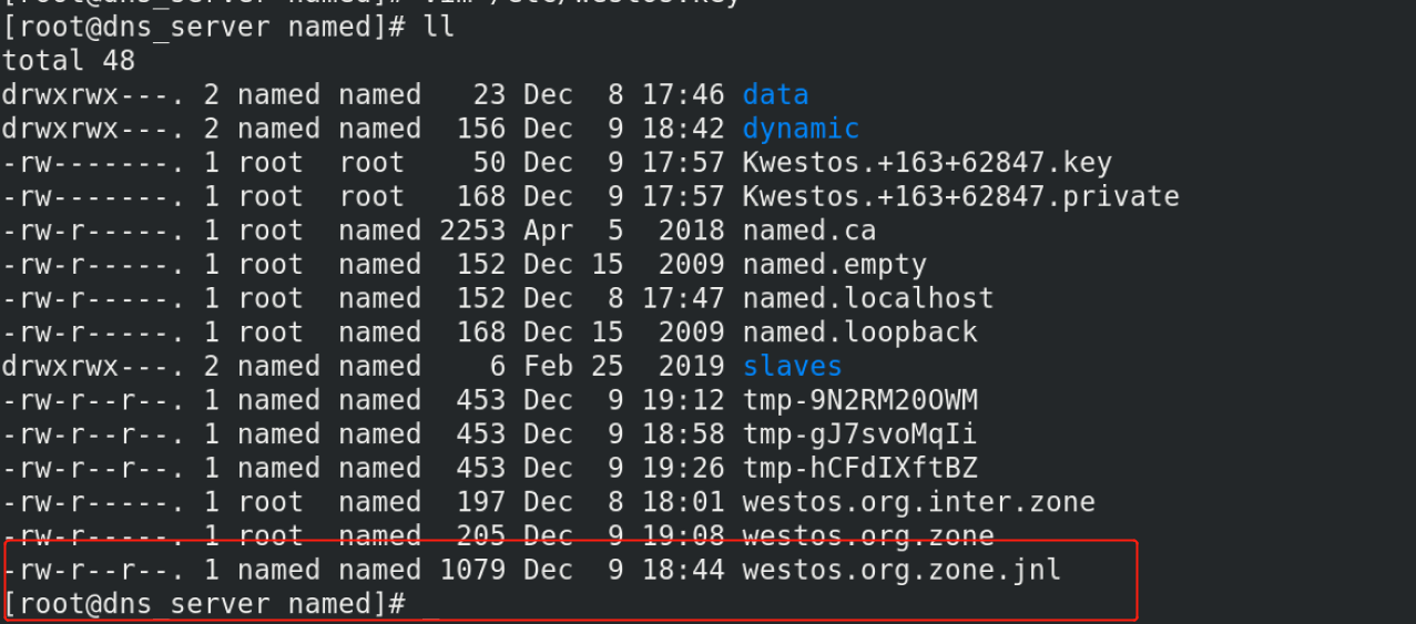 ddns的搭建（动态域名解析DDNS）-CSDN博客