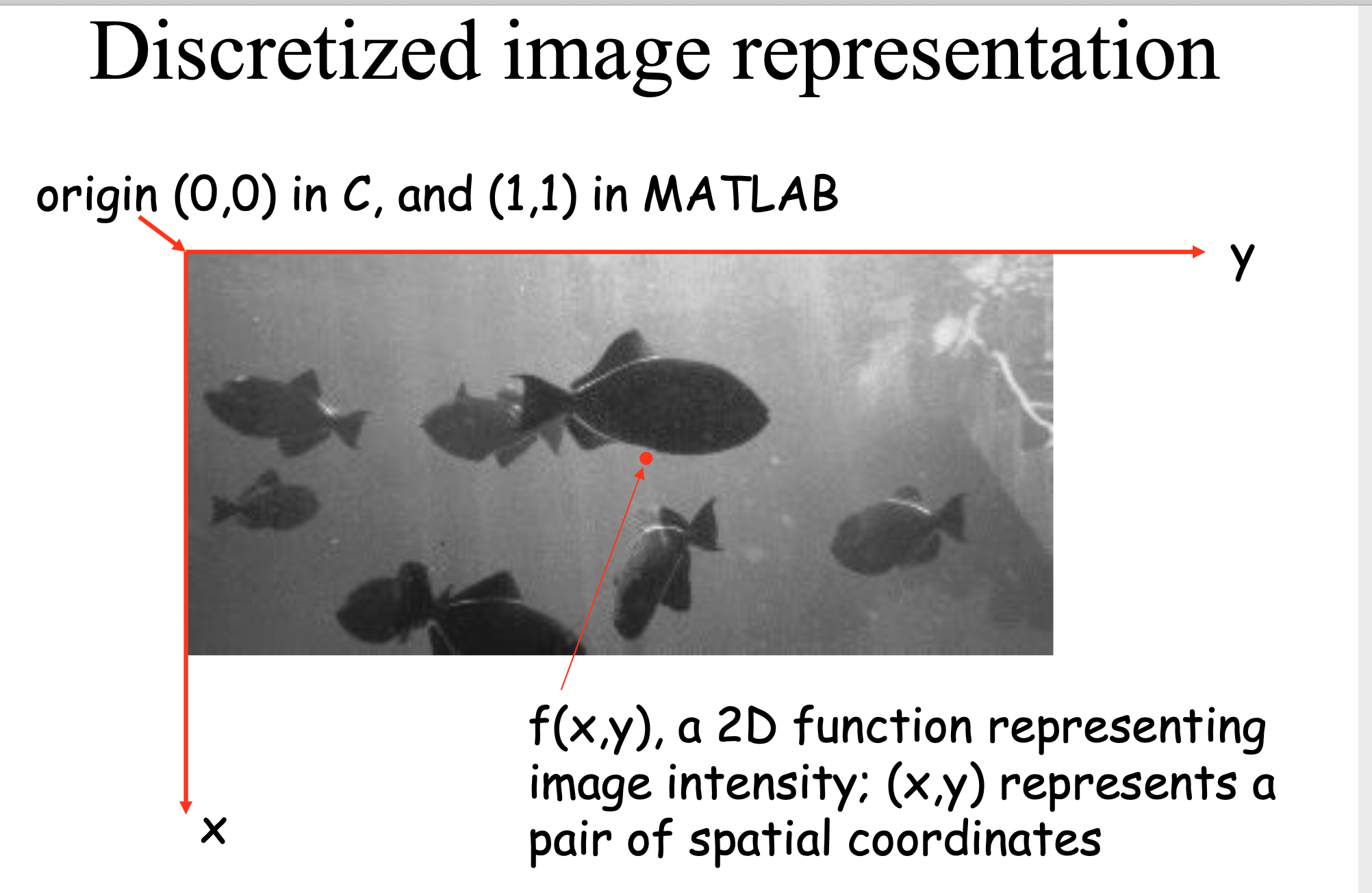 第一章：图像处理之图像表示Image Representation_images (representation)-CSDN博客