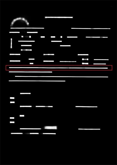 多边形逼近cv2approxpolydp和douglas Peucker算法多边形近似算法 Csdn博客